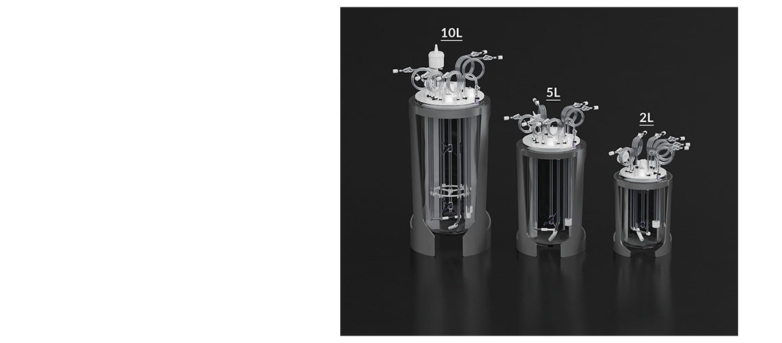 Introducing the BIOne 10L Single-Use Bioreactor - Distek