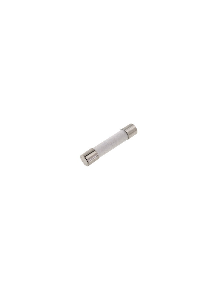 Fuse (10A / 250V) - Distek